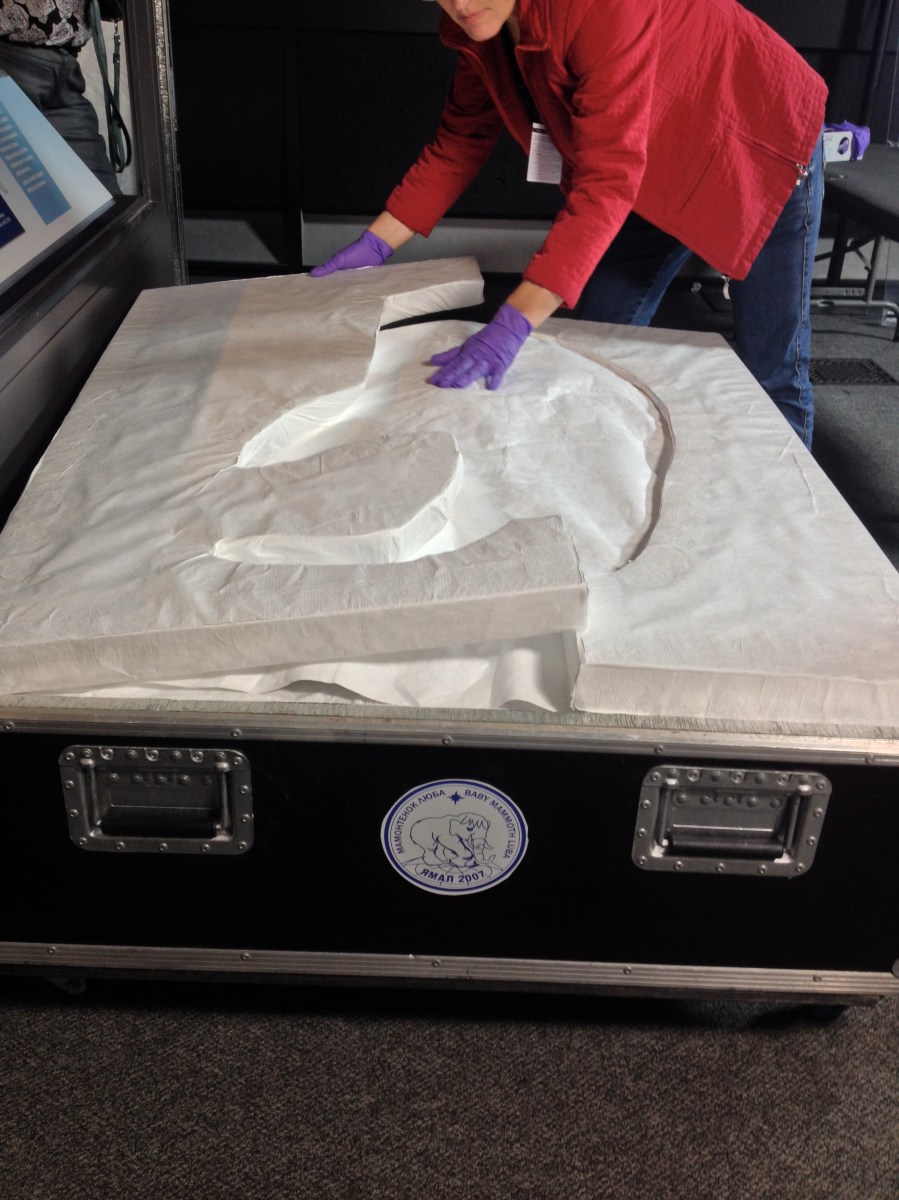 Tucking Baby Lyuba in for her Journey Home | toriherridge.com